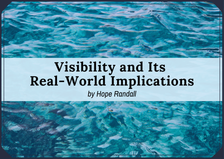 Visibility and Its Real-World Implications - Women Enabled International